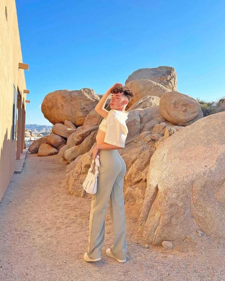 James Charles - Bio, Relationship, Family, Net-Worth, Age, Height...